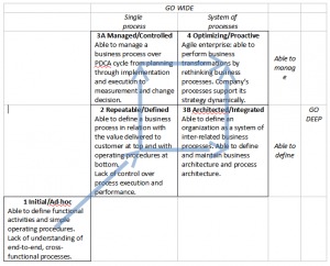 BPM Maturity Model: Go Deep vs. Go Wide Strategy — CMW Lab Blog